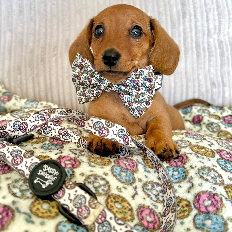 SALE – Sassy Sausage