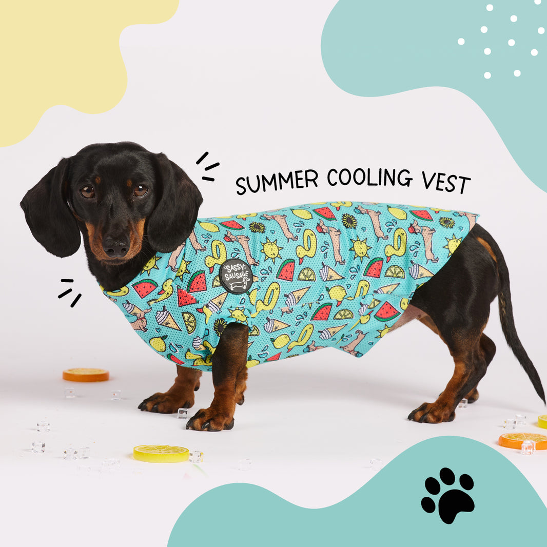 Sassy Sausage & Friends - Dog Apparel Sassy Pups!