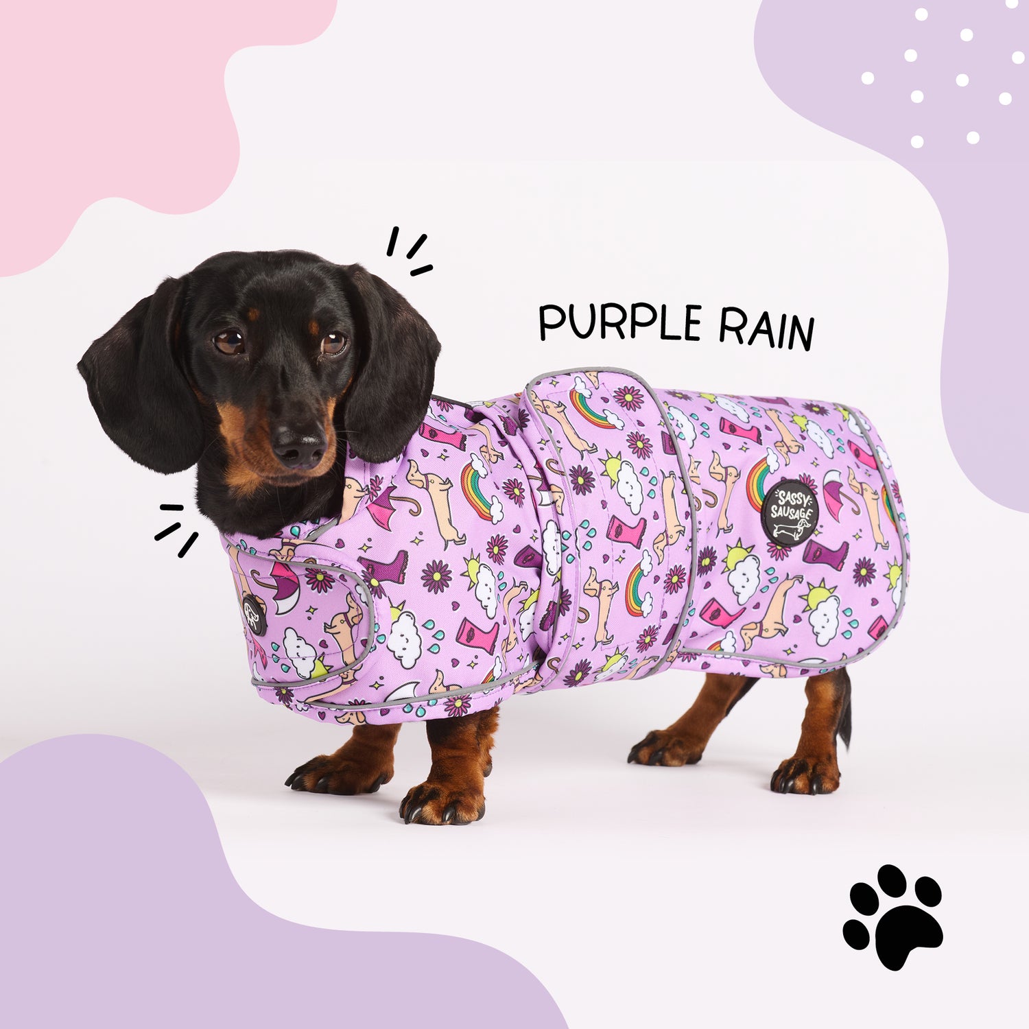 Sassy Sausage - Dachshund Clothing