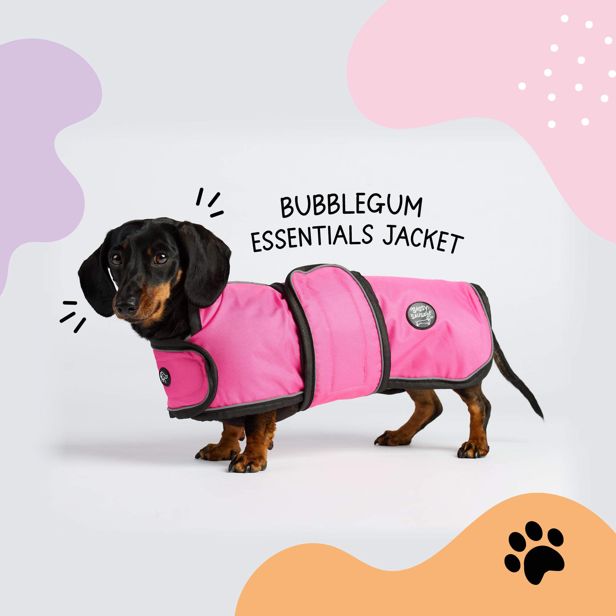 Sassy Sausage & Friends - Dog Apparel Sassy Pups!