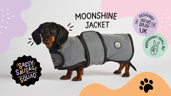 Sassy Sausage - Dachshund Clothing