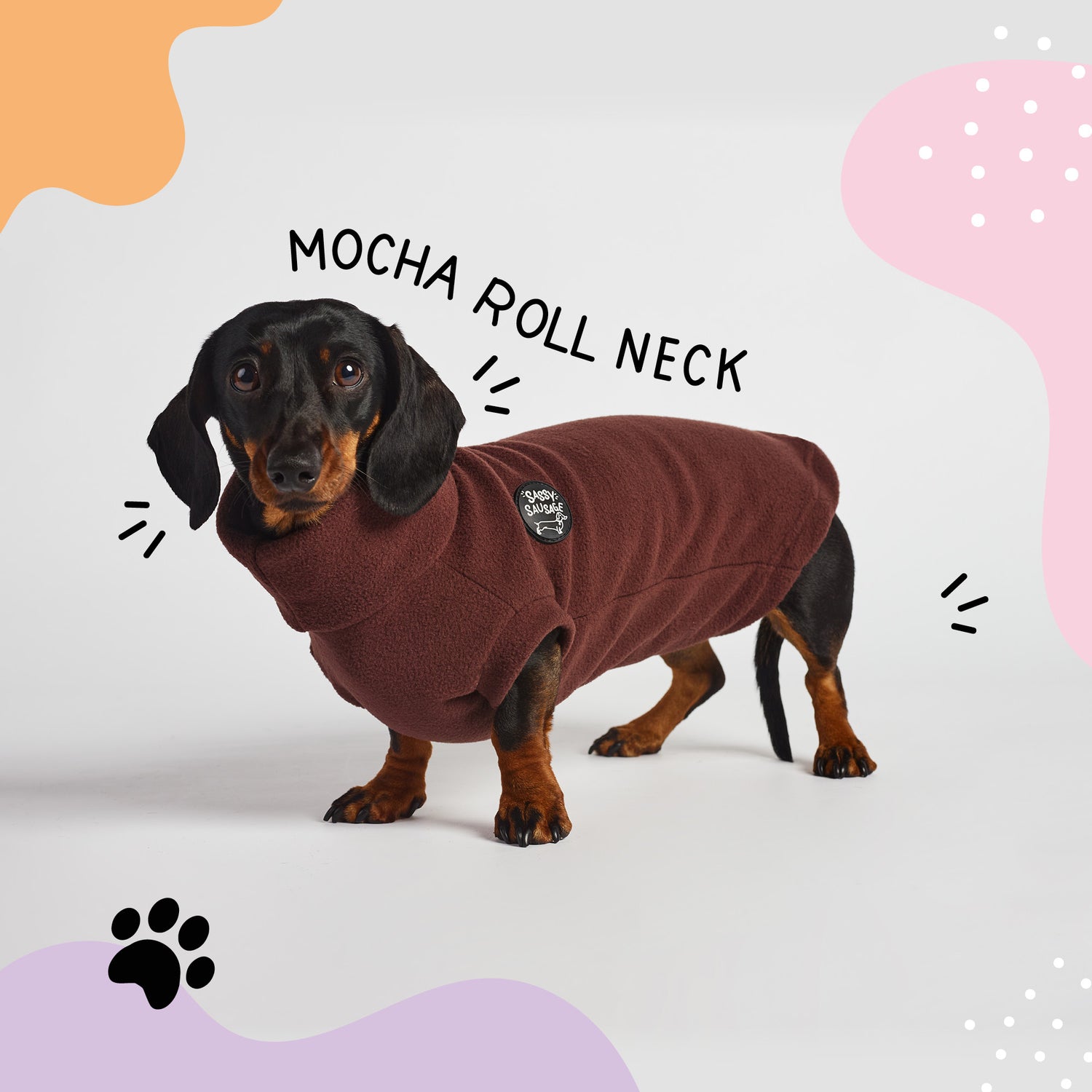 Sassy Sausage & Friends - Specialists in Dachshund Jackets