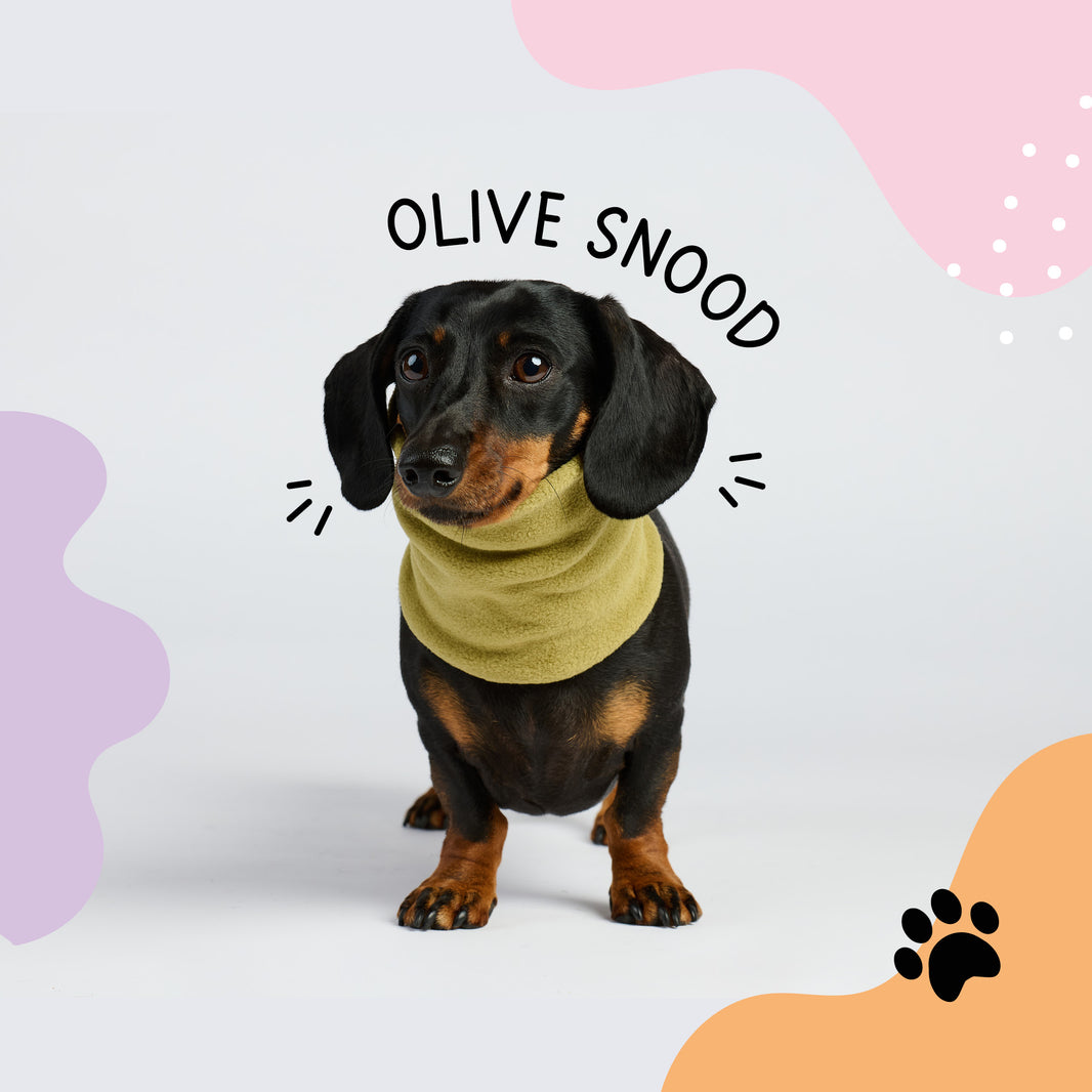 Sassy Sausage & Friends - Specialists in Dachshund Jackets