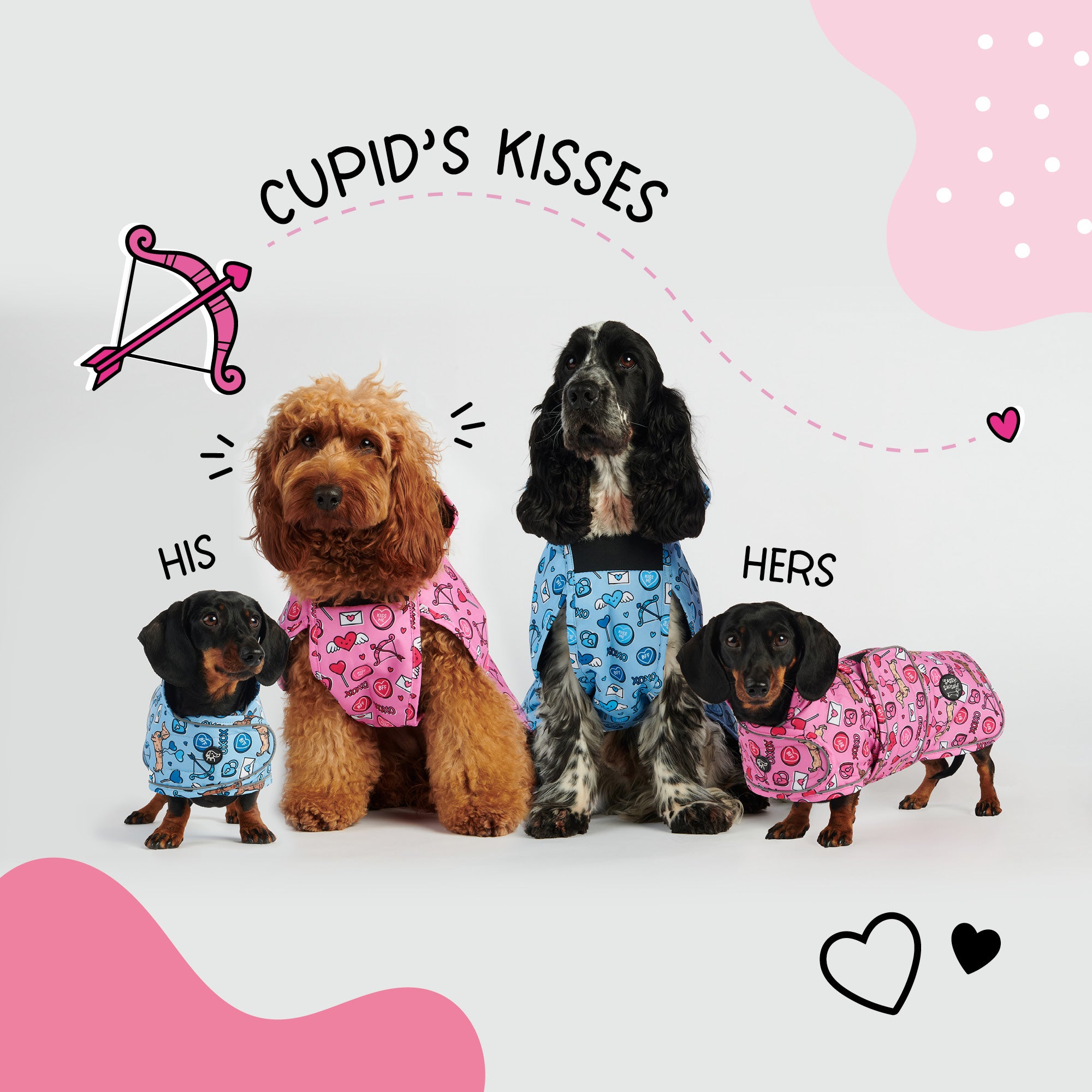 Sassy Sausage & Friends - Dog Apparel Sassy Pups!