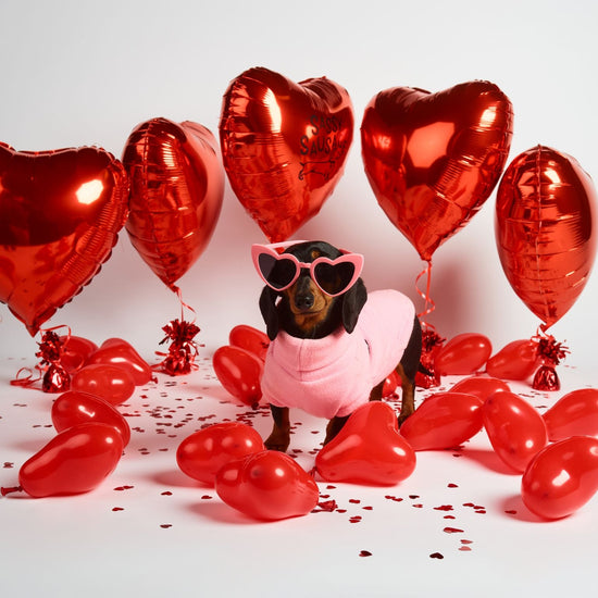 Sassy Sausage & Friends - Dog Apparel Sassy Pups!